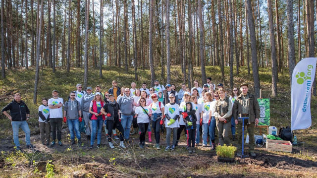 Tree planting boost for forest in Hungary
